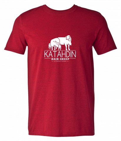 KHSI Logo - SheepThings