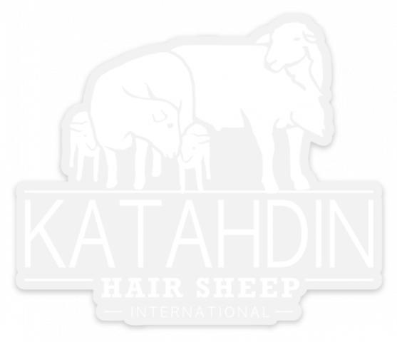 Katahdin Die Cut Stickers - SheepThings